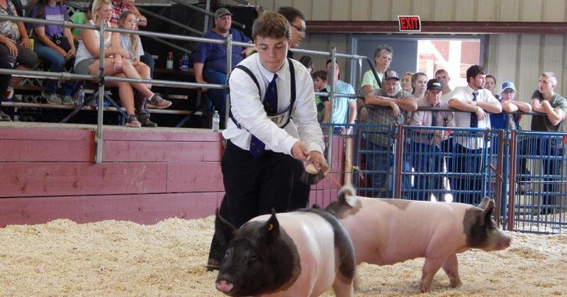 Berkeley Fair Is All About the Kids | | lancasterfarming.com