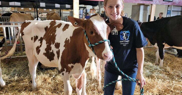 Pennsylvania County Fairs and Shows Guide 2024: Dates and Official ...