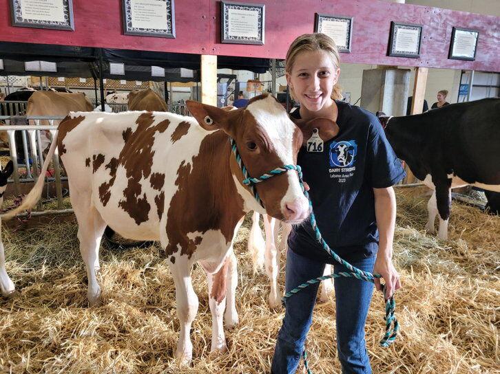 Lebanon County ‘Cow Girl’ Wins National Holstein Recognition | Farm ...