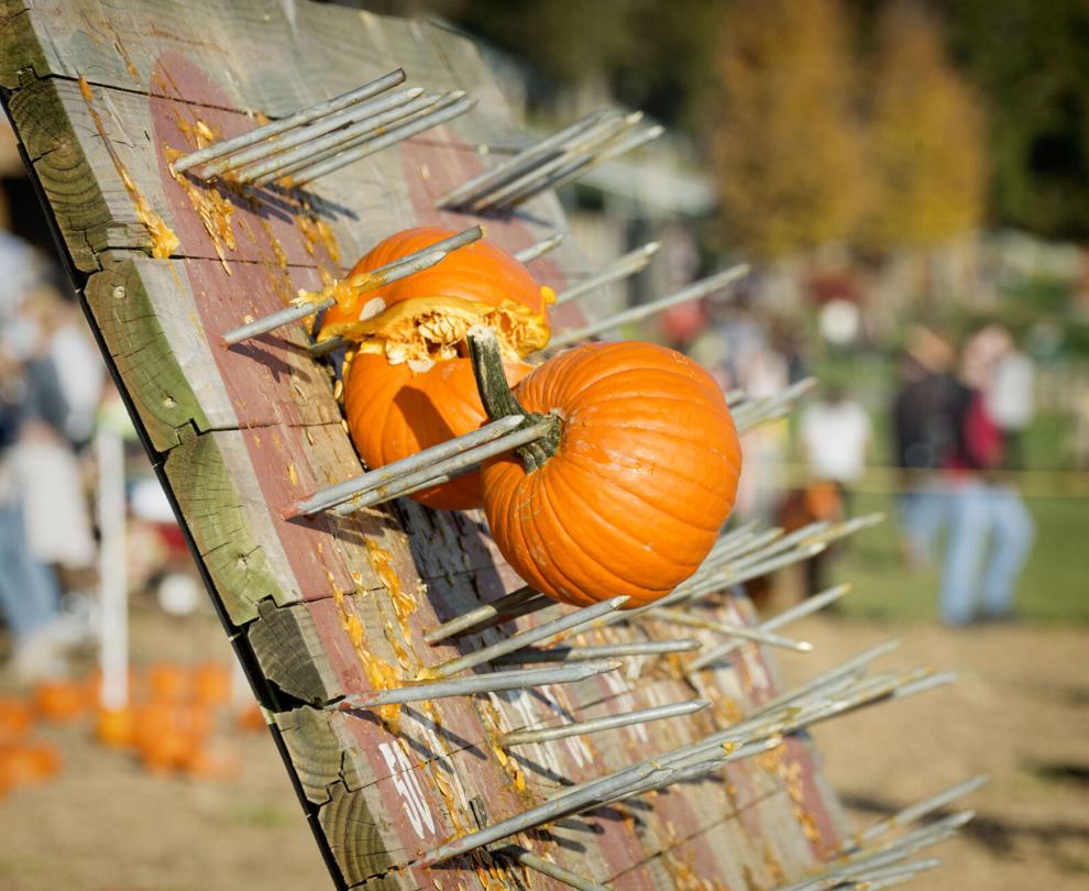 Giant Pumpkin Drop Lancasteronline giant-pumpkin-drop-lancasteronline