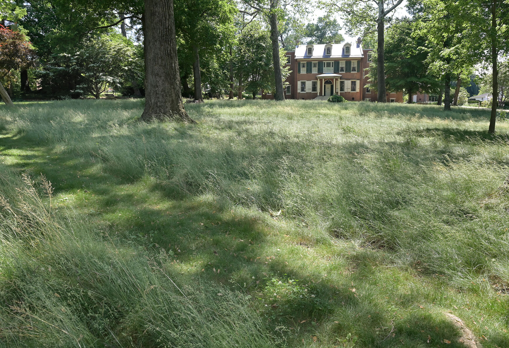 'Homegrown' Foursquare Style was reaction against ornate, pretentious ...