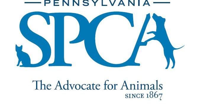 Manor Township woman starved dog to death: Humane Society police ...