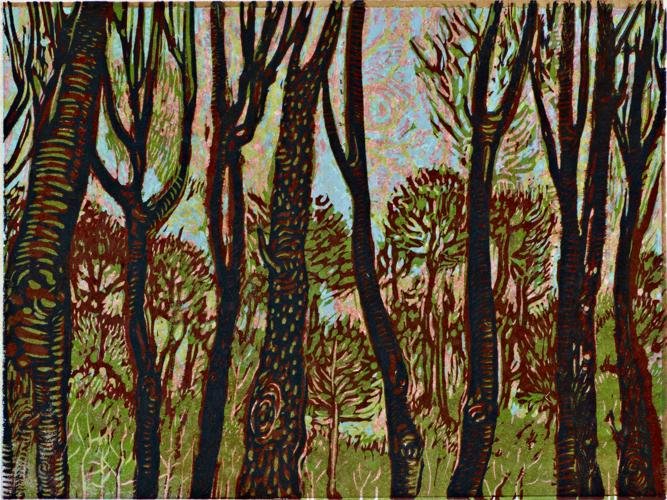 Robert Patierno's 'Works on Paper' woodcut exhibit opens Monday at ...