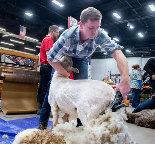 Franklin County team is named 2023 Sheep to Shawl champion [photos ...