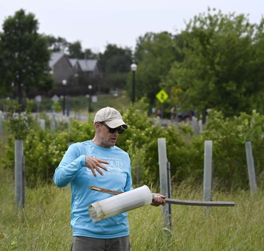 Manheim Township stream restoration effort part of Lancaster ...