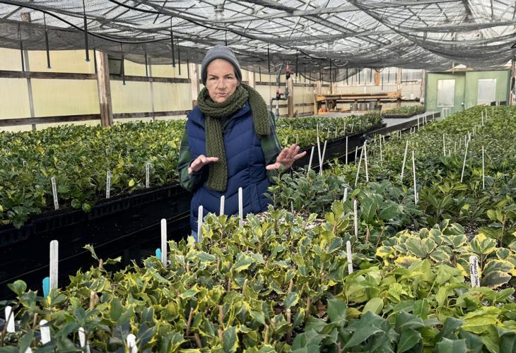 Sue Hunter of Heartwood Nursery [photos] | | lancasteronline.com