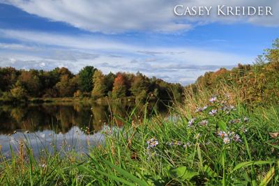 Treaster | Blogs | lancasteronline.com