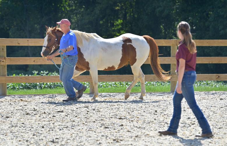 Bridlepath Equine Center [photos] | | lancasteronline.com