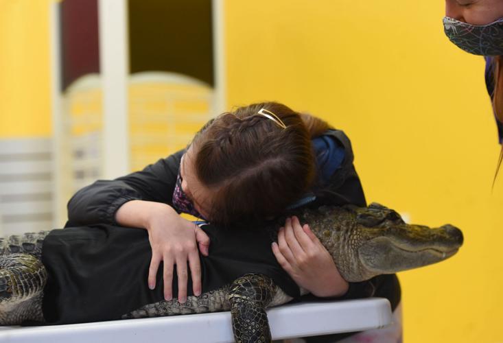 Wally the Emotional Support Gator celebrates Free Comic Book Day ...