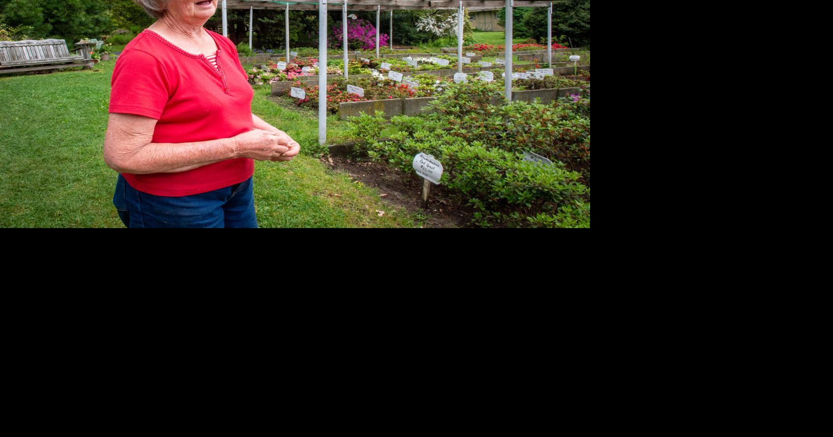Here's how 5 generations turned a Gap farm into an azalea oasis [photos ...