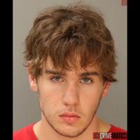 Lititz man sentenced to prison for fatal 2021 DUI crash involving horse ...
