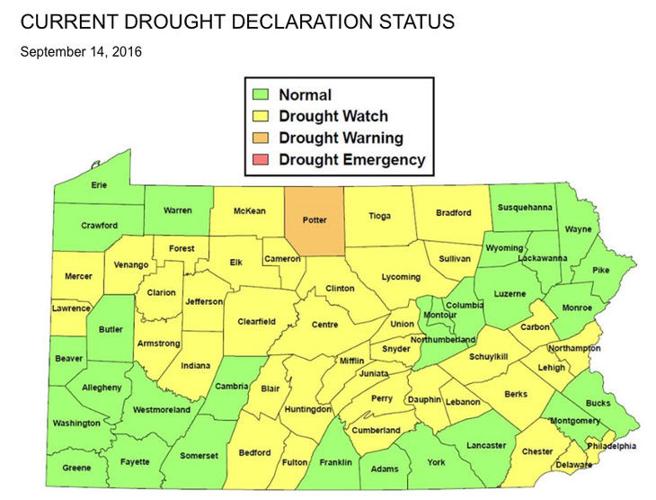 Lancaster County fall foliage should weather drought well, unlike other ...