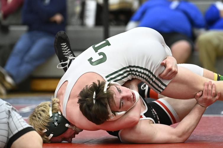 L-L League wrestlers have solid District 3 Class 3A Section 2 showing ...