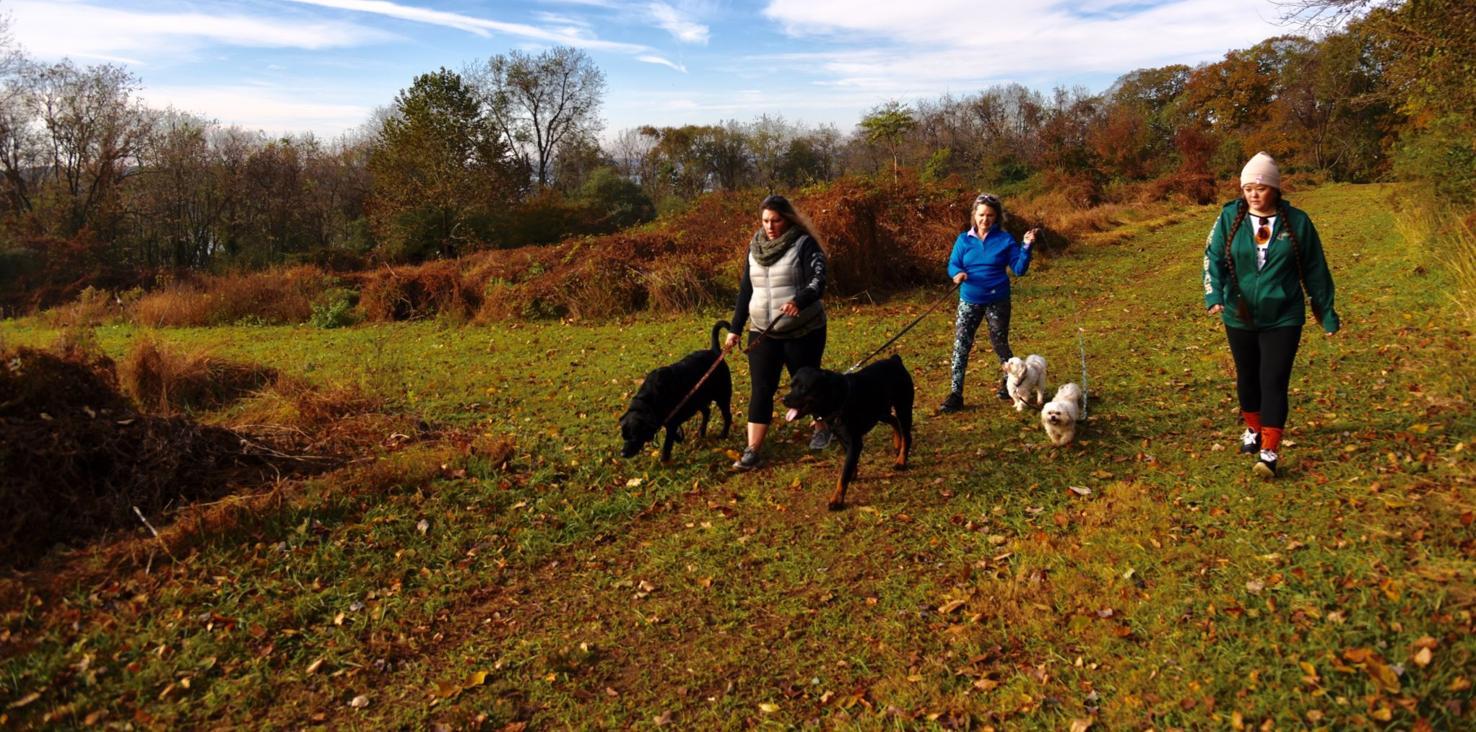 Muddy Run Recreation Park: A park for all seasons | Outdoors ...