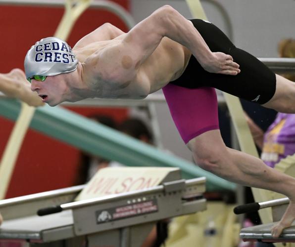 Logan Smith, Liz Perot medal on truncated final day of PIAA Class 3A ...