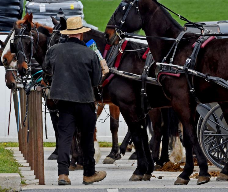 'Not trying to stick our head in the sand': Most Amish aware of COVID ...