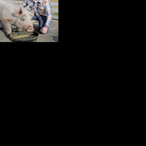 It's showtime for Stephen Geib | News | lancasteronline.com