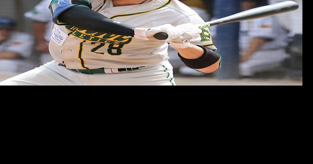 Austin Gallagher gives back to baseball, the sport he loves [column ...