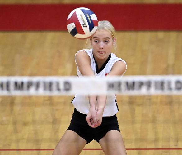 8 local standout players earn PVCA all-state girls volleyball honors ...