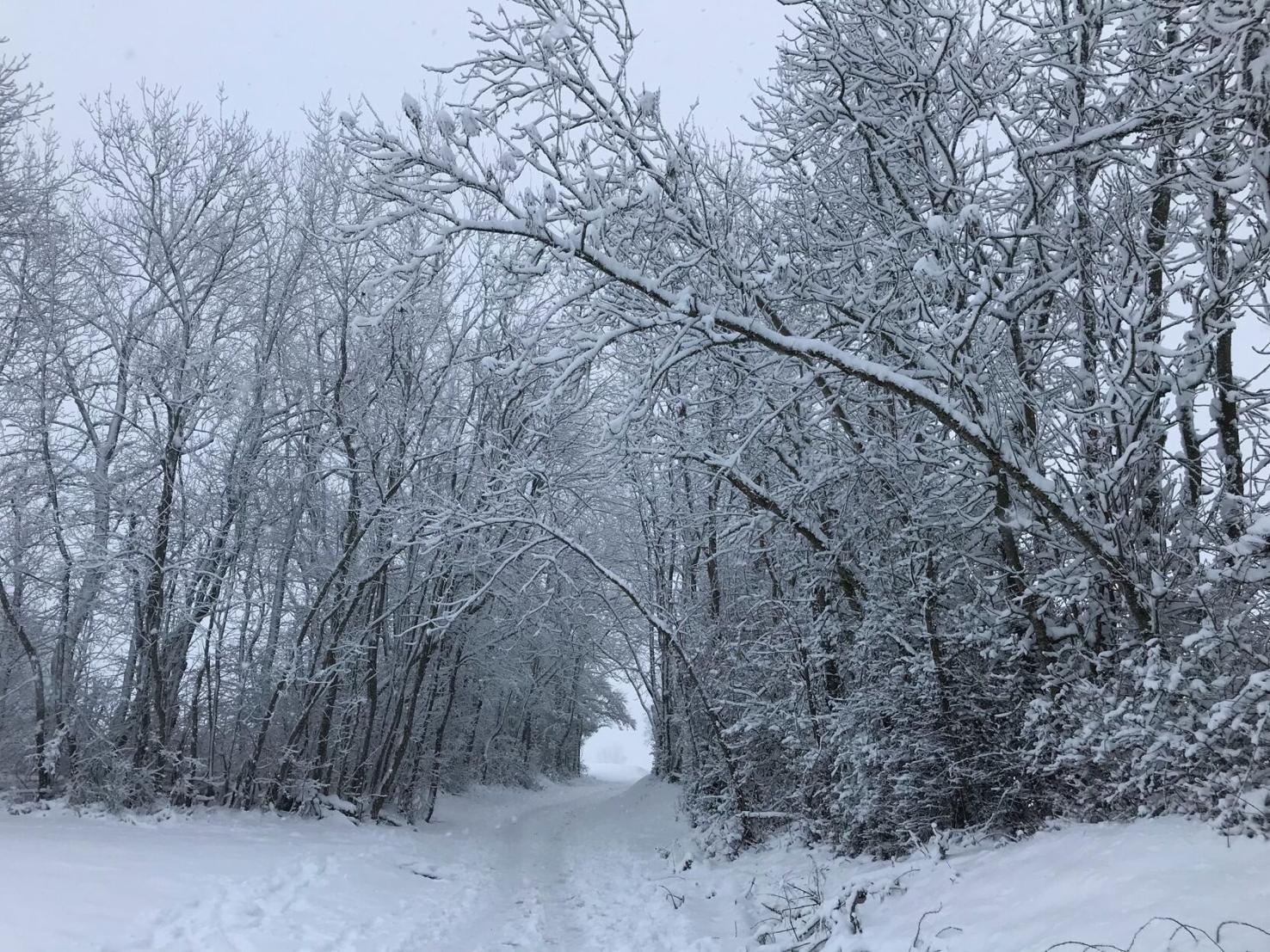 4 top winter hiking trails near Lancaster County, plus how to stay warm ...