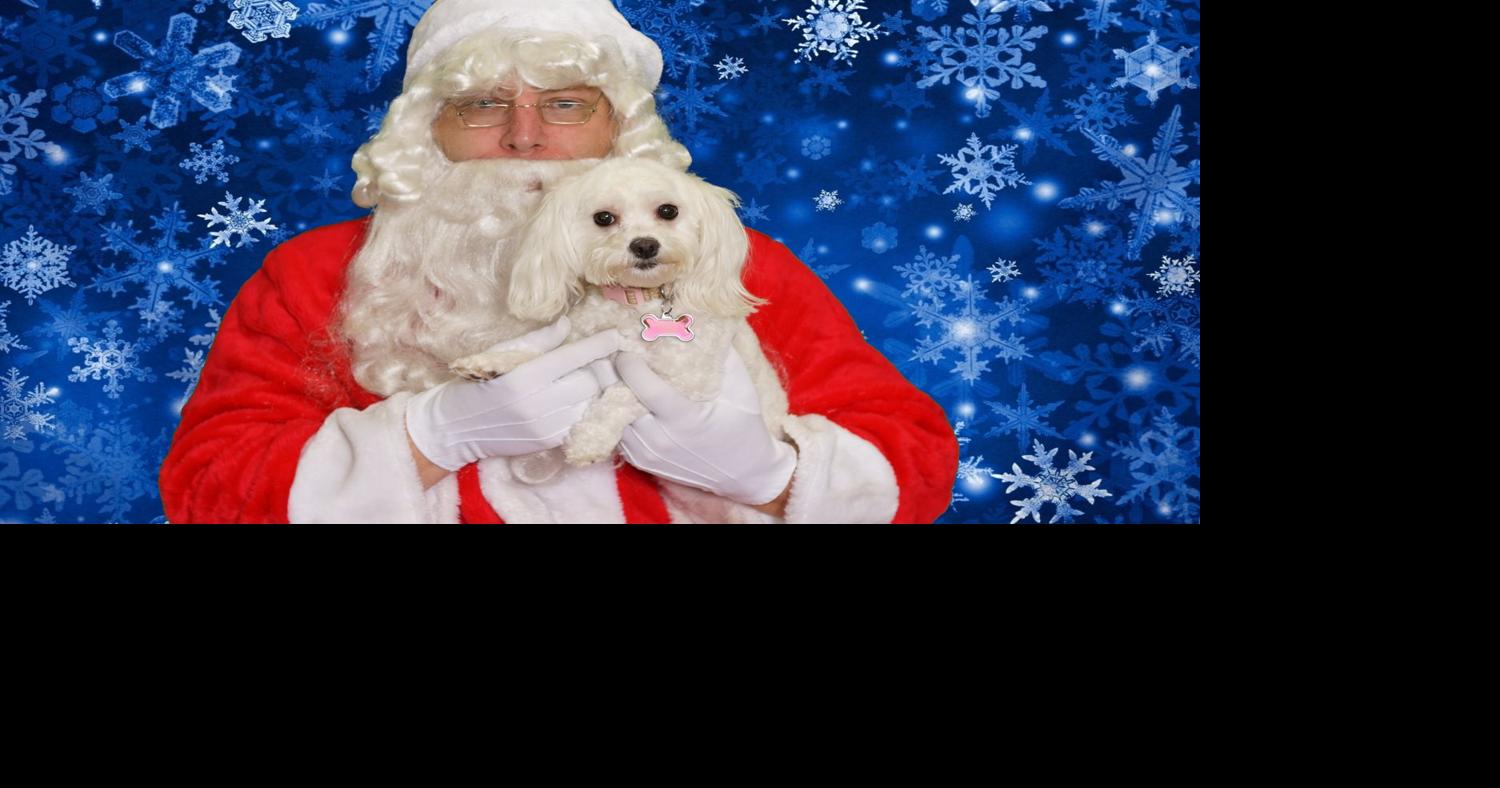 Gallery: Share your furry friend's Santa photos with LancasterOnline ...