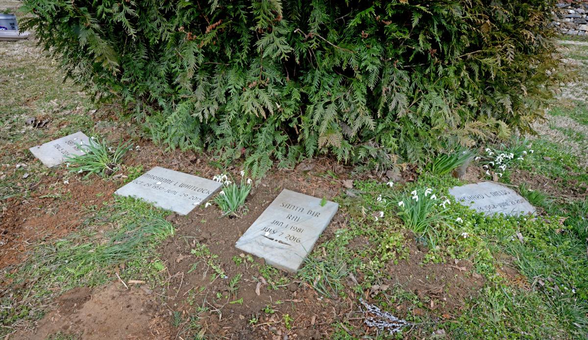 Green burials: There are a number of environmentally friendly ...