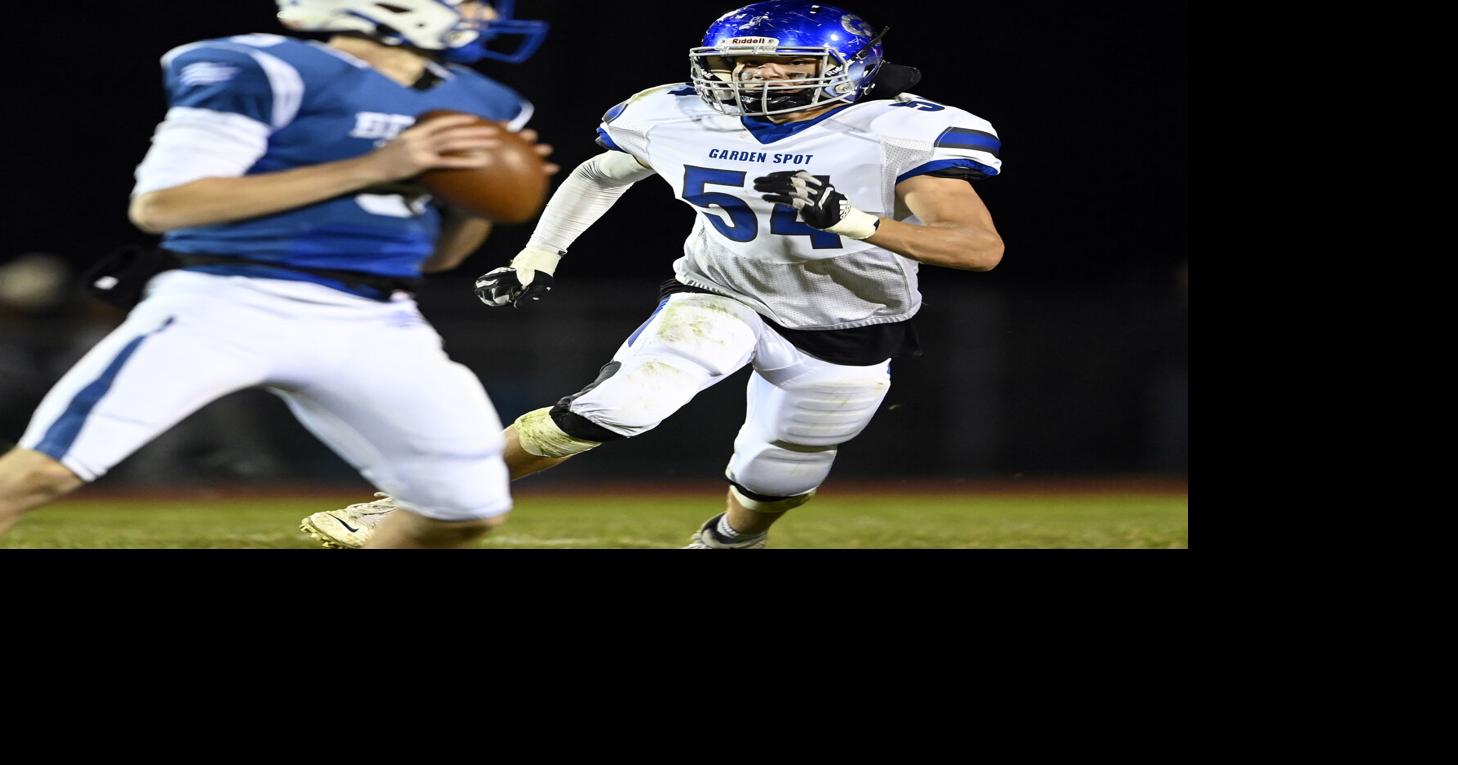 Defenses under the microscope, plus more Week 7 primer notes: 3 L-L ...