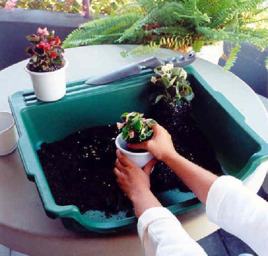 THE SHOPPER: Dig these cool garden tools | Lifestyle | lancasteronline.com