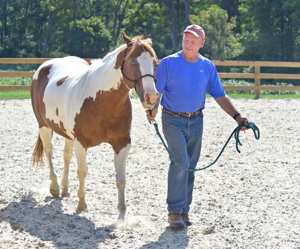 Bridlepath Equine Center [photos] | | lancasteronline.com