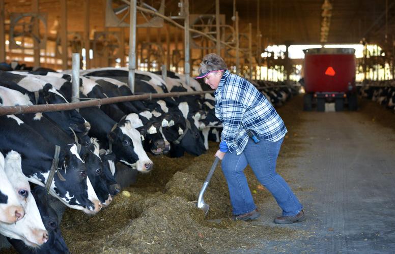 Lancaster County faces of farming | | lancasteronline.com