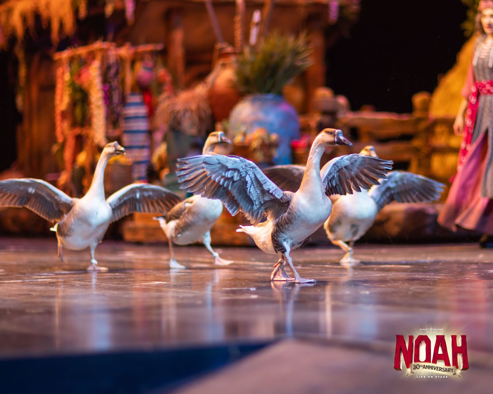 Sight & Sound's 'Noah,' with more than 140 animals, celebrates 30-year ...