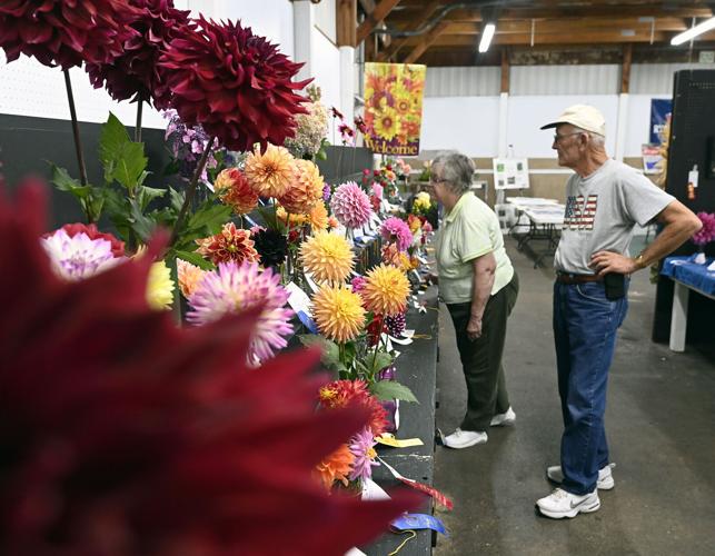 Manheim Community Farm Show celebrates opening day [photos] | Local ...