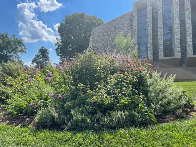 Make a floating flower bowl, learn what pollinators want: tips from ...