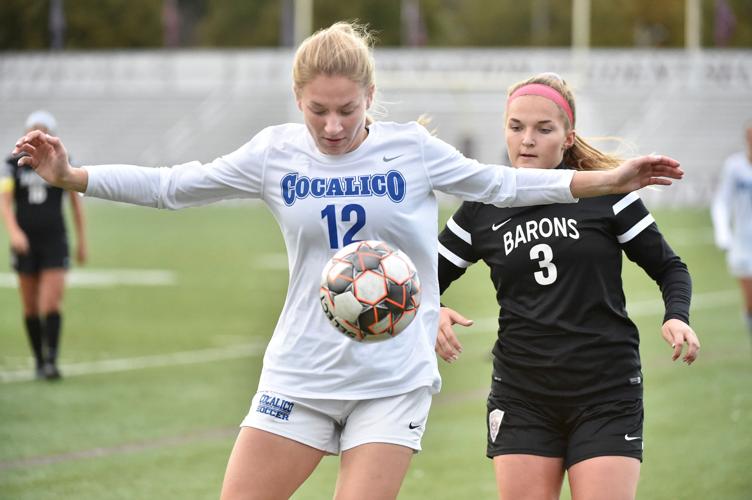 District 3 girls soccer: Manheim Central blanks Cocalico 3-0 in 3A ...