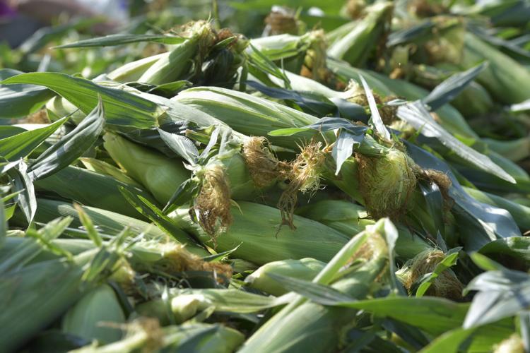 Summer's favorite treat is ready at the Corn Wagon in Lancaster [photos ...