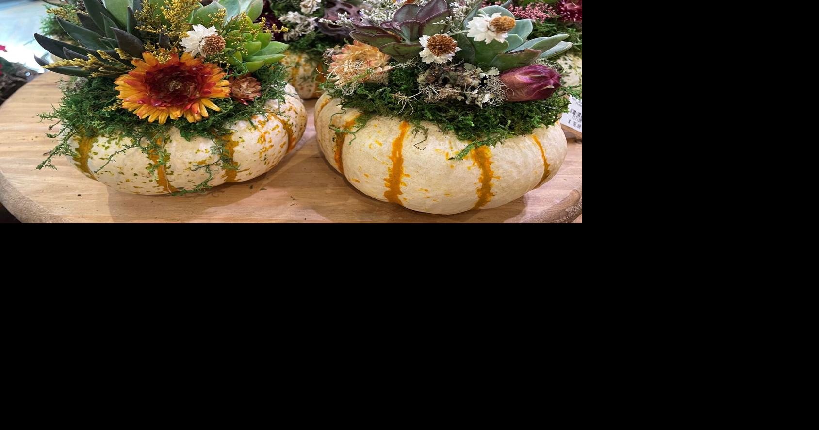 October 2025 plant classes and garden talks in Pennsylvania | Home ...