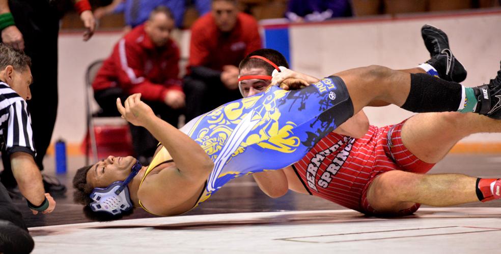 Three L-L wrestlers take District Three Class AAA gold at Hersheypark ...