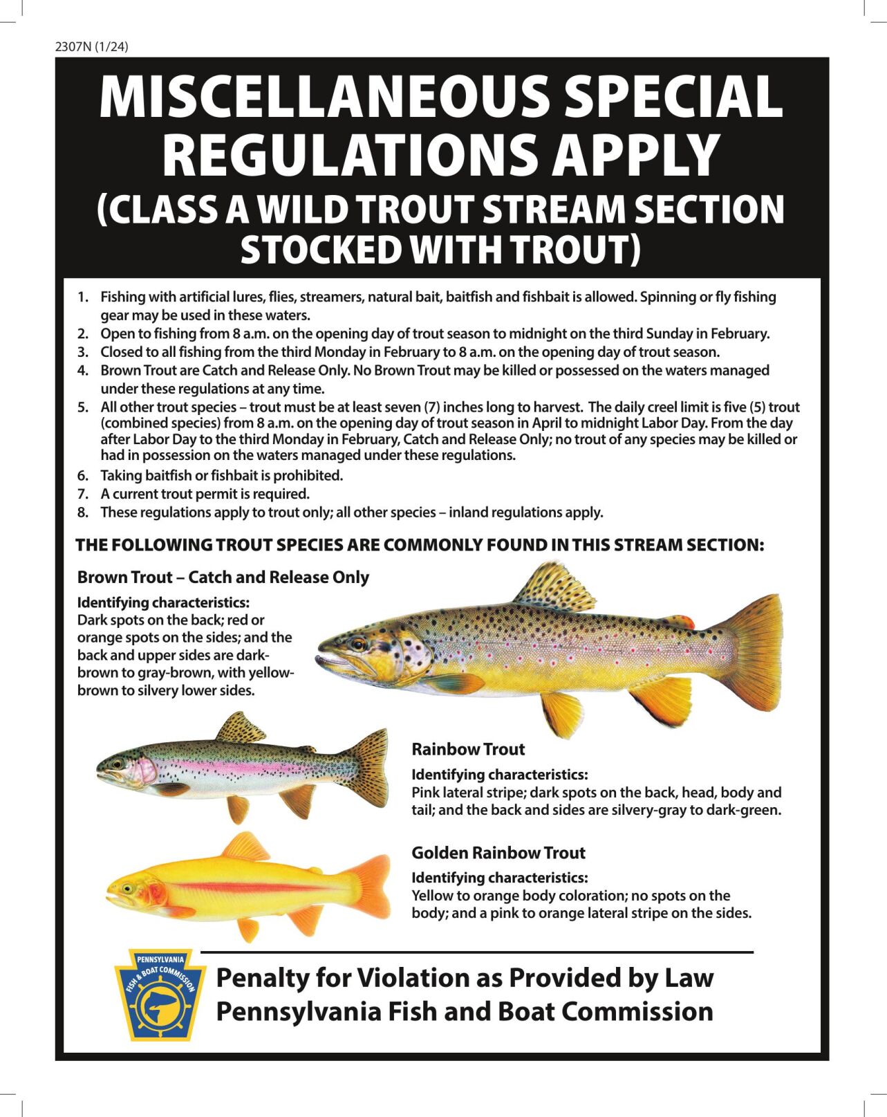 Telltale signs make it easy for avid anglers to identify trout [column ...