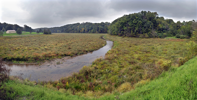 Plants reclaim Speedwell Forge Lake - at least for now | News ...