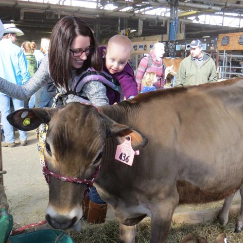 Pennsylvania Farm Show: Why do so many come? | Local News ...