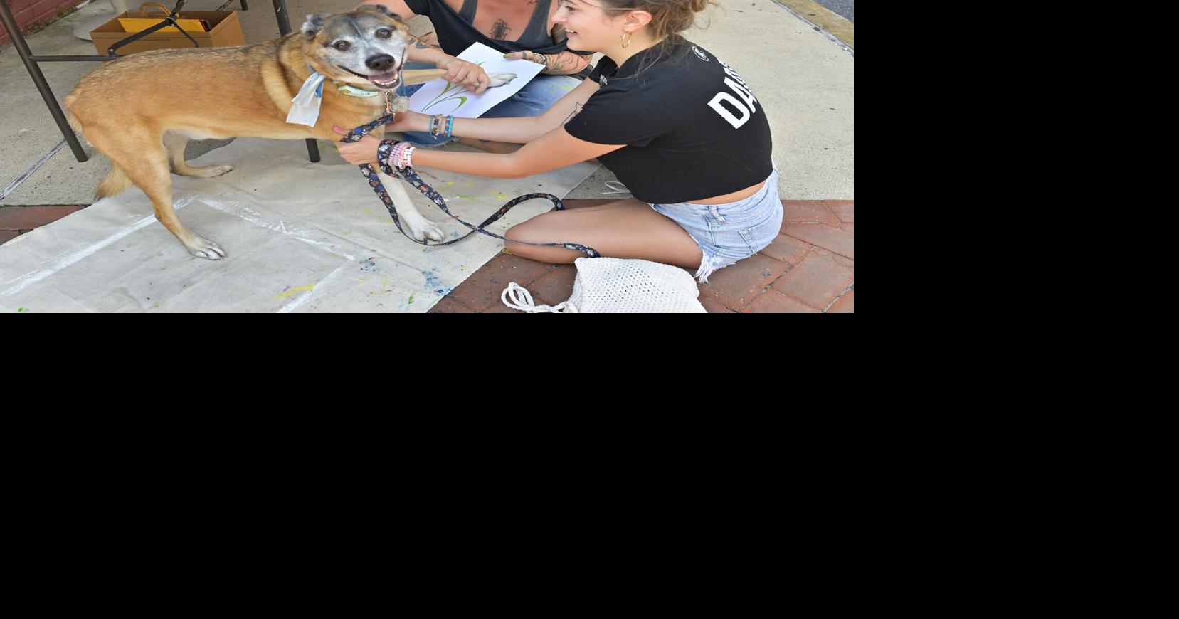 Looking for a pet? SPCA, Humane Pennsylvania to waive adoption fees ...