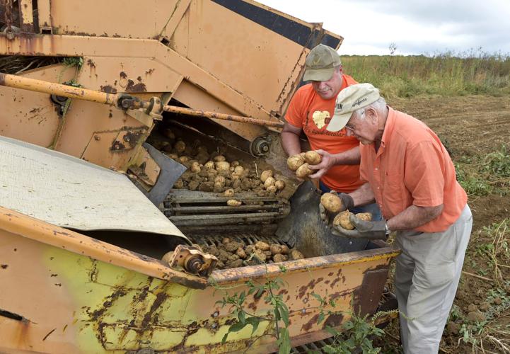 Baked, fried or mashed? 6 reader-submitted Lancaster County potato ...