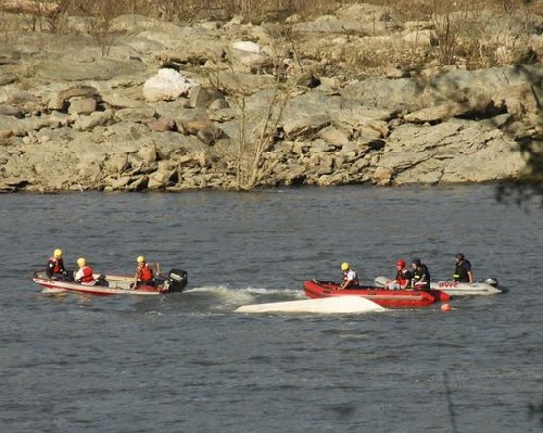 Boat plunges over dam | News | lancasteronline.com