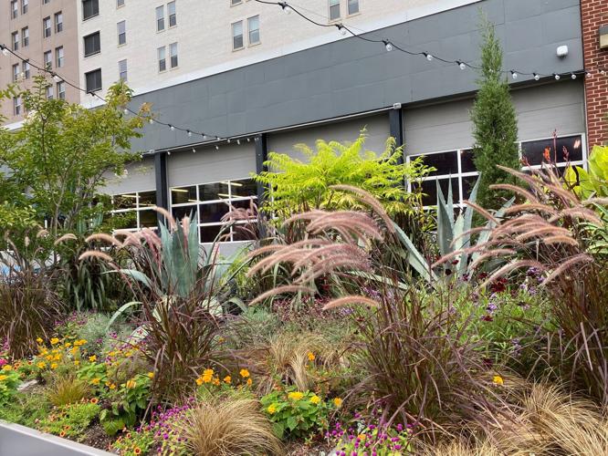 Make a floating flower bowl, learn what pollinators want: tips from ...