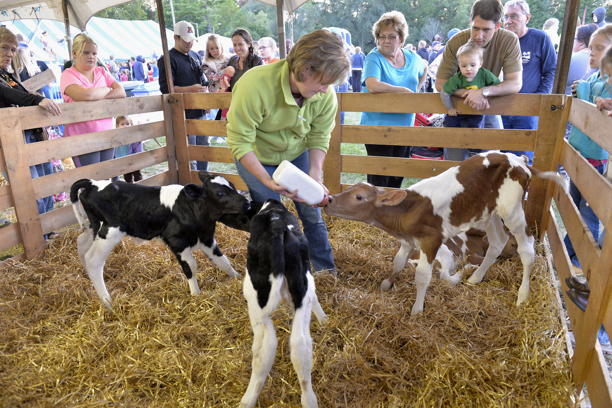 It's fair season in Lancaster County: Here's your ultimate guide ...