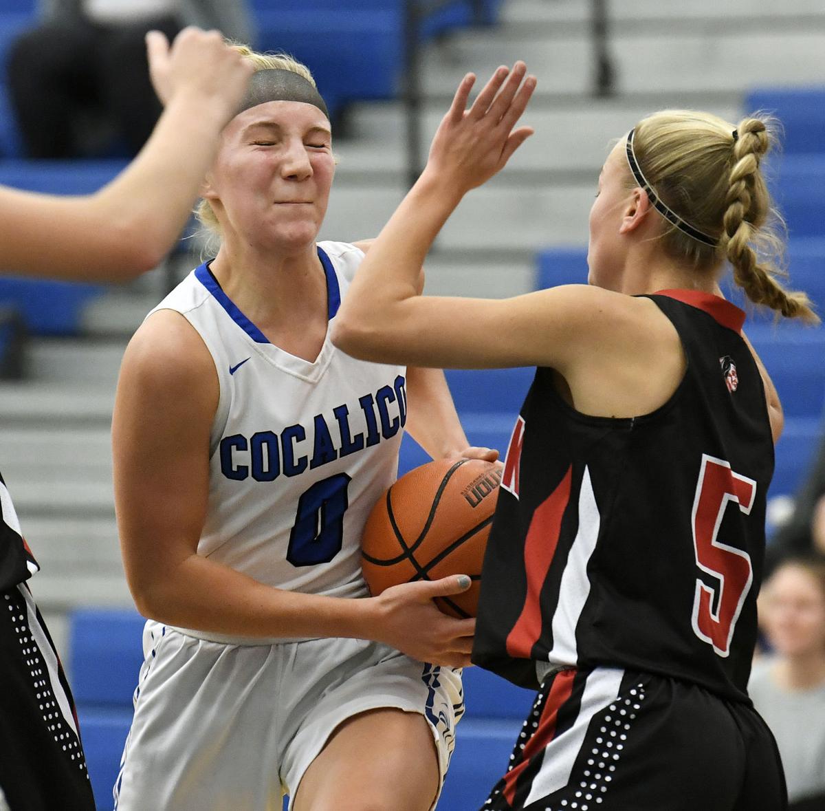Annville-Cleona, Cocalico get wins: L-L League girls basketball roundup ...