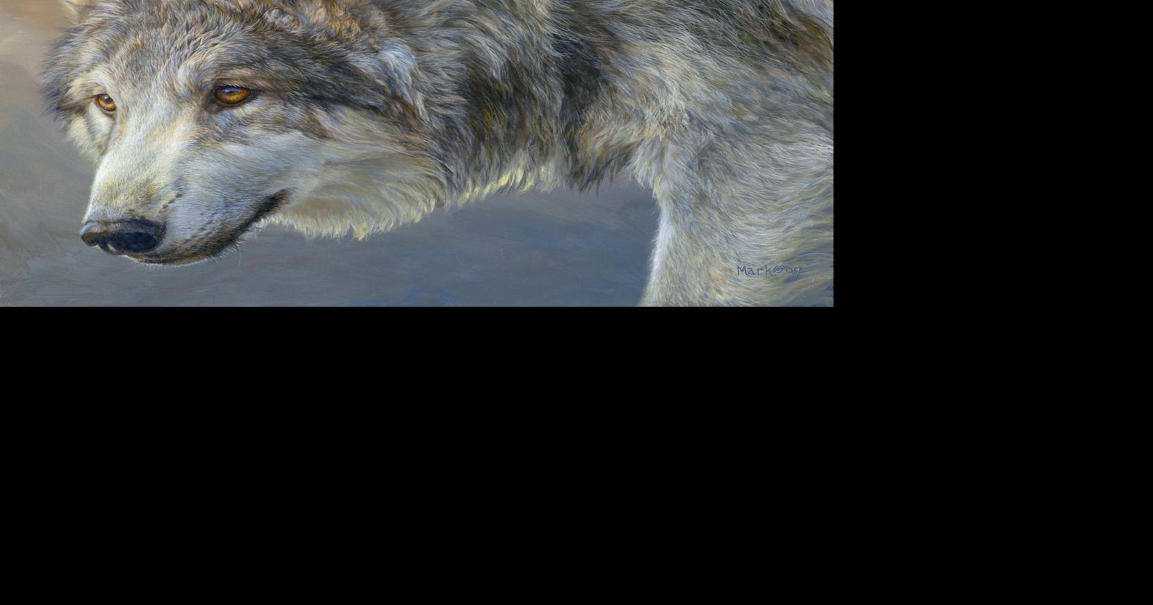 Laura Mark-Finberg's wildlife paintings featured in show opening ...