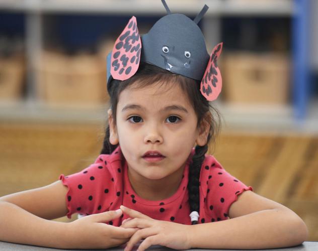 Ladybugs released in honor of Earth Day [photos] | Home & Garden ...