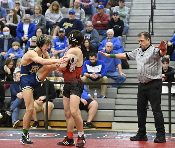 L-L League wrestlers have solid District 3 Class 3A Section 2 showing ...