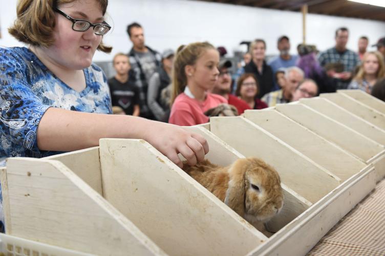 The 66th Manheim Community Farm Show [photos] | Local News ...